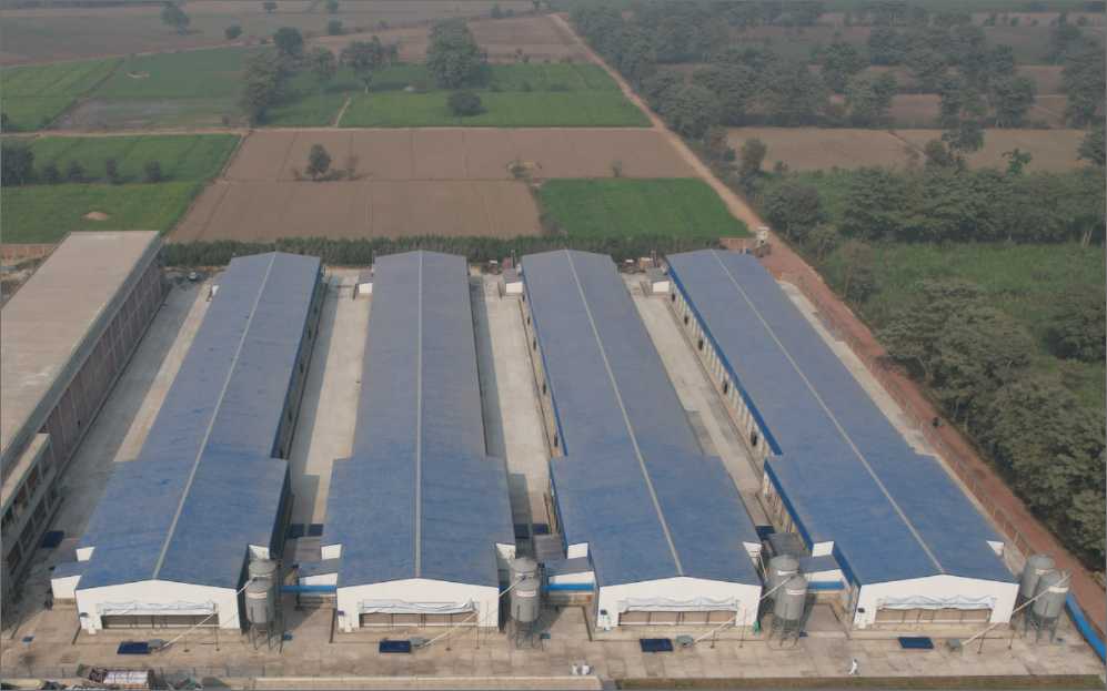Our Story - Noor Poultry