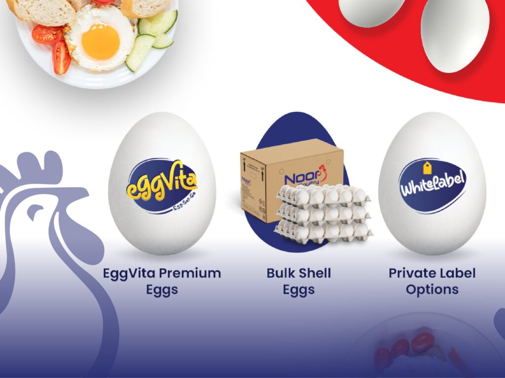 Noor Poultry – Your Reliable Fresh Egg Exporter to UAE, Saudi Arabia ...